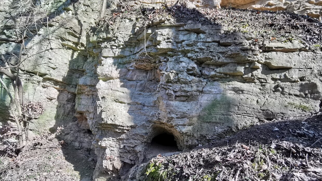 Der Zechstein - Geologie - sachsen.de