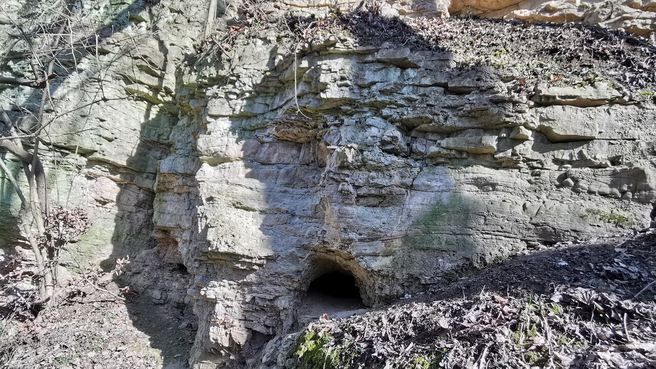 Der Zechstein - Geologie - sachsen.de