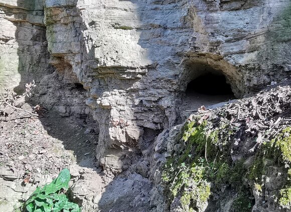Der Zechstein - Geologie - sachsen.de