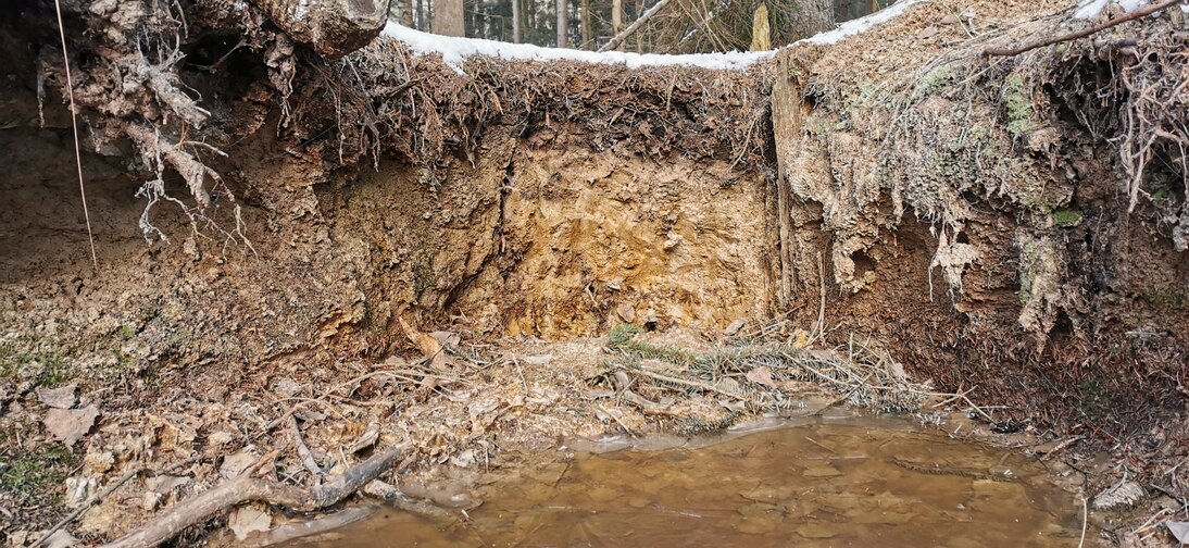 Das Quartär - Geologie - sachsen.de