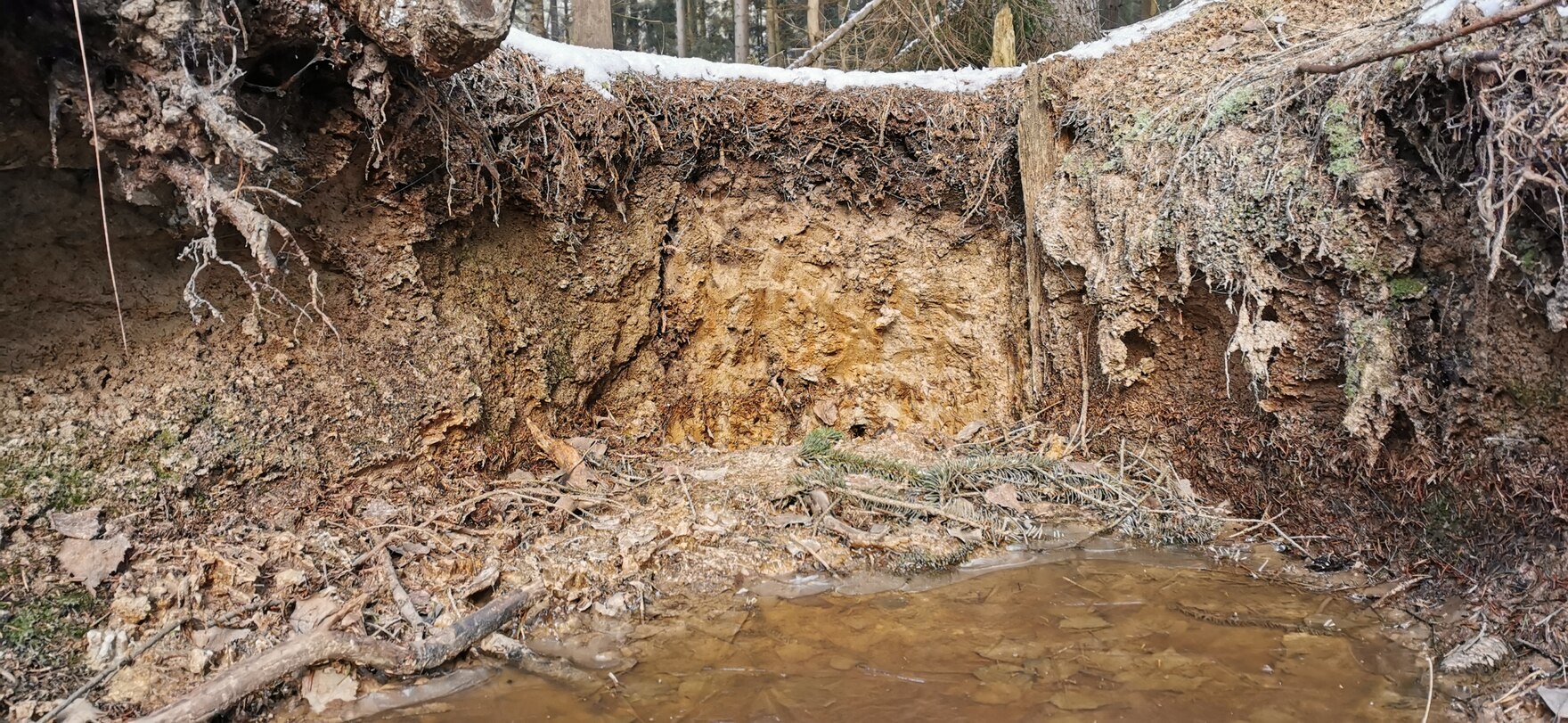 Das Quartär - Geologie - sachsen.de